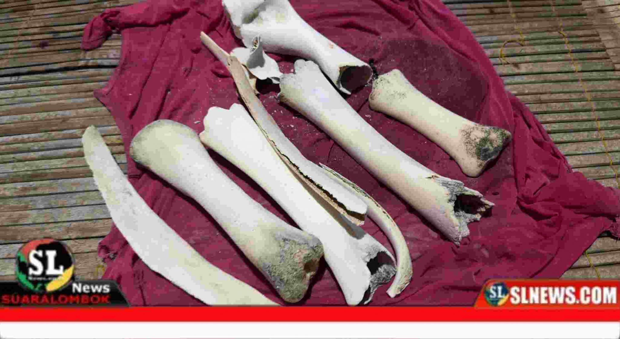 Diduga Tulang Dokter Lalu Wisnu Ditemukan di Pantai Lancing - www ...